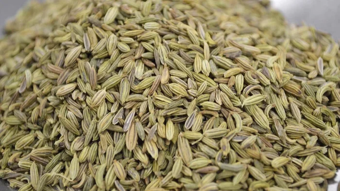 Fennel Seed | Sugar 'N Spice